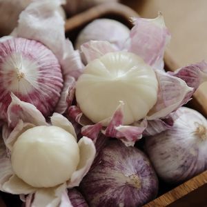 Quality High Quality 10kg White Net Bag Organic 4.5cm Light Spicy Garlic Newest Crop for sale
