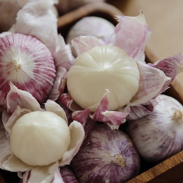 Quality High Quality 10kg White Net Bag Organic 4.5cm Light Spicy Garlic Newest Crop China Fresh Style Wholesale Low Price for Export for sale