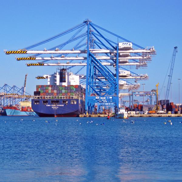 Quality Breakbulk And Bulk Vessel Freight Rates From China To India For Heavy Cargo for sale