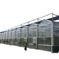 Quality Multi-span Glass Greenhouse Agricultural Instruction with Super Strong for sale