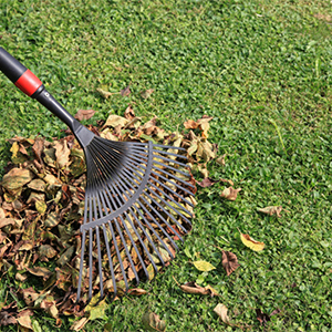 Yard Waste Bags