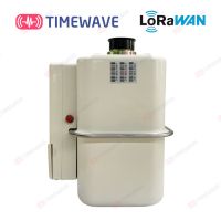 Quality LoRaWAN Remote Smart Gas Meter Wireless LoRaWAN Horizontal Installation For Consumption Monitoring Gas for sale