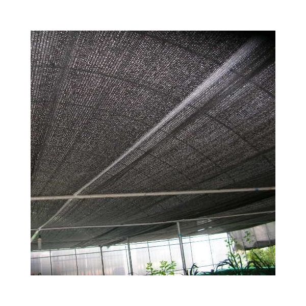 Quality Plastic Shading Net Roll 2x50m For Greenhouse Field Anti Dust Coving Net for sale
