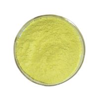 Quality 99% Purity Quercetin Bulk Supplements From Sophora Japonica Extract For Natural for sale