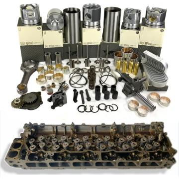 Quality 5.9 12 Valve for Cummins Engine Rebuild Kit Engine parts shop for sale