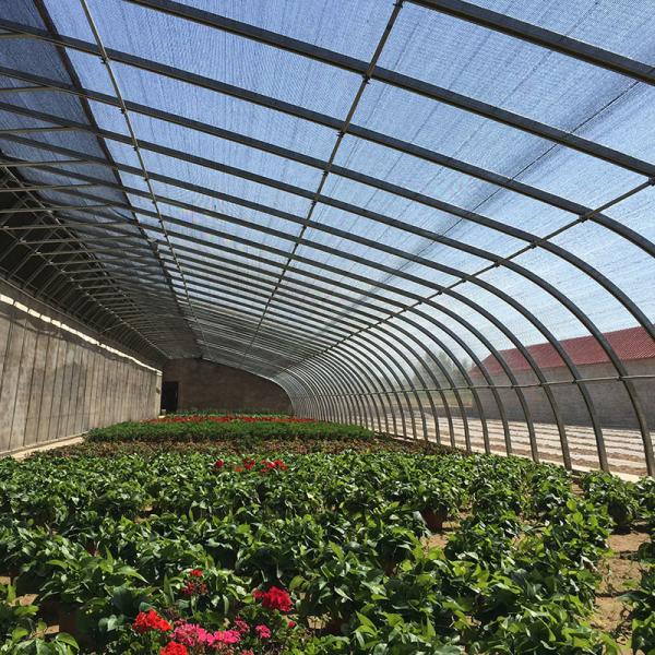 Quality Vegetable Fruits Flowers Winter Sunlight Solar Greenhouse Chinese Style for sale