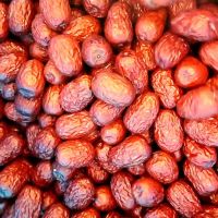 Quality Stainless Steel Dates Sorting And Grading Machine 380V 10 Lanes for sale