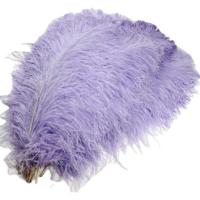 Quality Various Color Millinery Feather Ostrich Plume Feathers 50-55cm For Hat for sale
