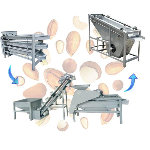 Quality Commercial Usage Almond Processing Line Making Machine for Nuts Peanut Almond Chestnut for sale