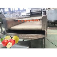 Quality Professional Pear Chips Apple Processing Line 440V Turnkey Project for sale