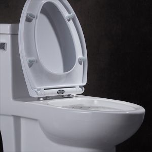 Quality Watersense Dual Flush Siphonic One Piece Toilet Ada Silence Slow Down Cover for sale