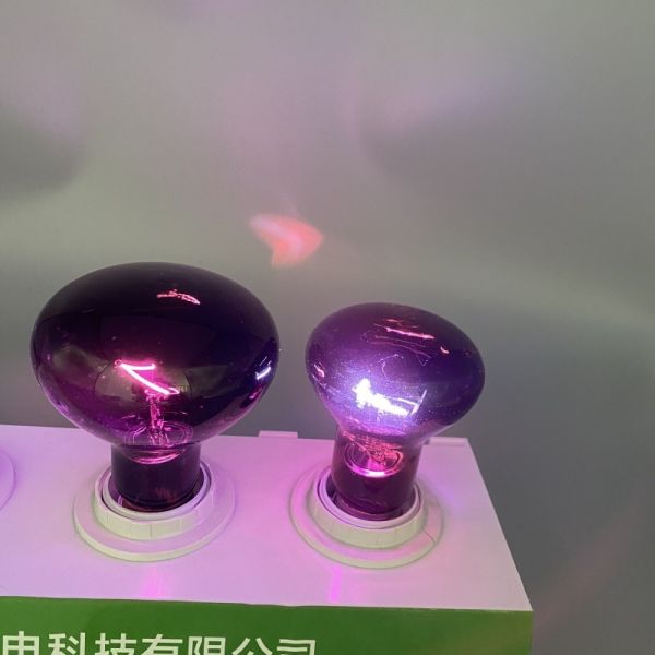 Quality OEM Day And Night Reptile Heat Lamp E27 150 Watt Basking Bulb for sale