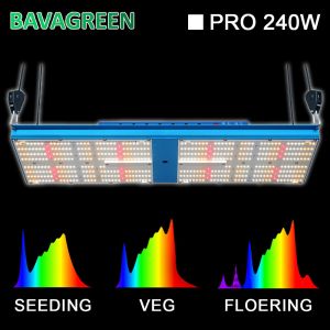 Quality BAVAGREEN 240W Horticultural Grow Lights 3000K Quantum Board LM301H 624 Umol/S for sale