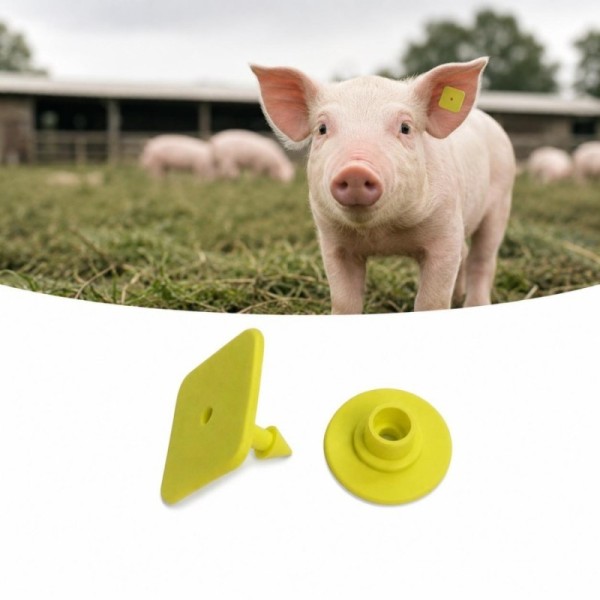 Quality UHF Electronic Animal Ear Tag TPU Lightweight 3.2 Grams Identification Tags for Accurate Livestock Tracking and Data Collection for sale