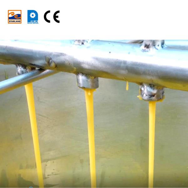 Quality Automatic Deluxe Tart Shell Machine PLC Control System for sale