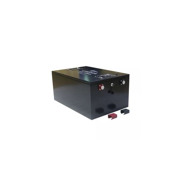 Quality 60ah 100ah 200ah Lifepo4 Golf Cart Battery Pack 48V Deep Cycle With BMS for sale