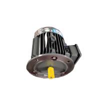 Quality 0.55kw 75kw 3 Phase Ac Induction Motor , High Speed Asynchronous Motor for sale