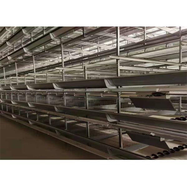 Quality Q235 Hot Dipped Galvanized H Type Layer Chicken Cage For Farm for sale
