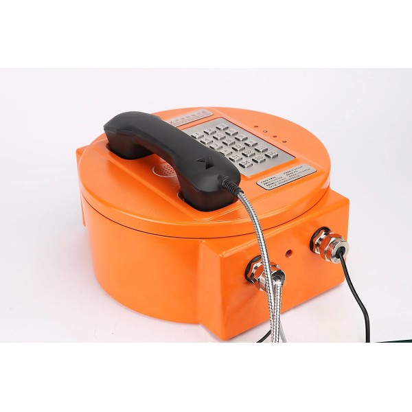 Quality Explosion Proof Telephone with Strong Noise Canceling IP66 Protection Grade and 30W Built-in Amplifier for Hazardous Areas for sale