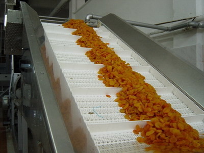 Quality Large Conveying Capacity Small Desktop Materials Handling Assembly Line Belt for sale