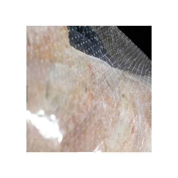 Quality Reusable Breathable Plastic Bread Bags Micro Perforated Recycled PP Bread Bag for sale