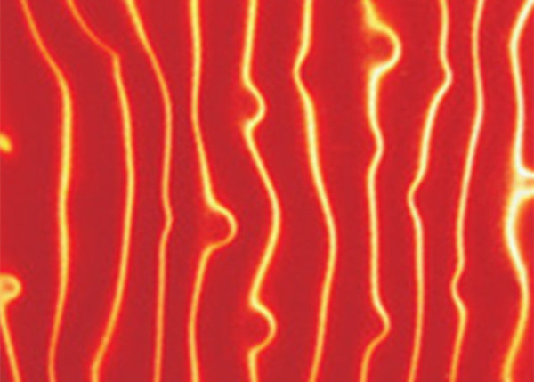 Quality 4-12MM Printed Laminated Glass Backsplash 300X300MM for sale