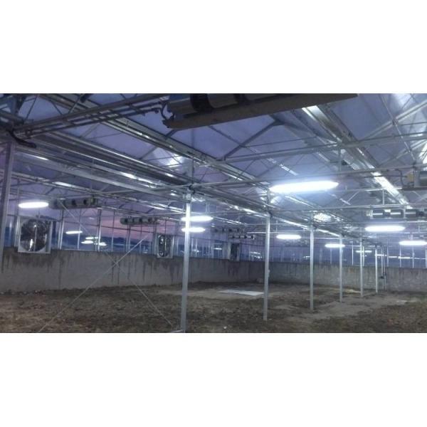 Quality High Strength Agricultural Poly Tunnel Green House/Tomato Greenhouse for sale