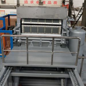 Quality Egg Packaging Paper Tray Machine 2m hight ROHS Certified Pulp Molding for sale