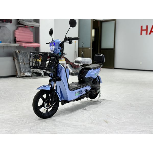 Quality L1-B	 350W Electric Two-Wheeler for sale