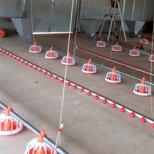 Quality Full Automatic 12 Birds PP Chicken Nipple Drinker System for sale