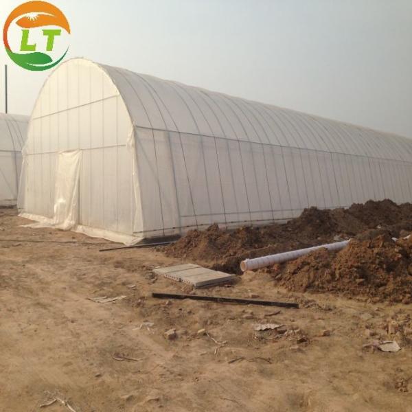 Quality User-Friendly Single-Span Agricultural Greenhouses for Large Agricultural for sale