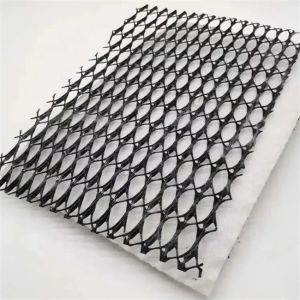 Quality 50m/100m/ Length 3D Composite Drainage Geonet for Slope Protection Industrial for sale