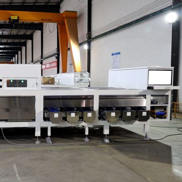 Quality In Shell Macadamia Nuts Sorting Machine Accurate Grading Sizing Simultaneously for sale