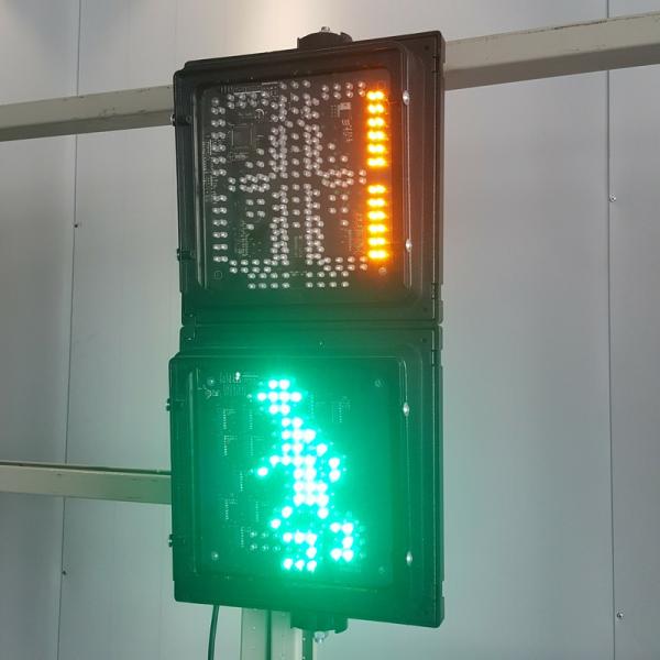 Quality 200MM Last Speed ​​2-Aspect RG Pedestrian With R/Y Countdown Timer Road Traffic for sale