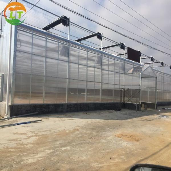 Quality Economical European Polycarbonate Greenhouse with Roof and Side Ventilation for sale