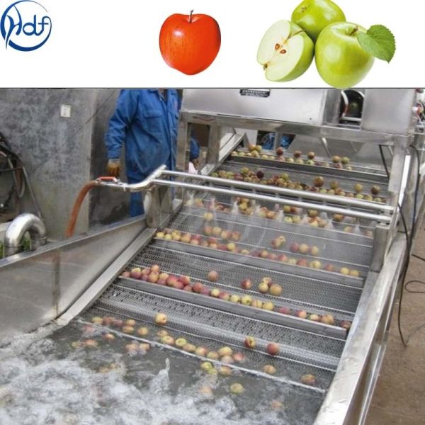 Quality SUS304 Electric Vegetable Washer Vegetable Air Bubble Washing Machine Vegetables for sale