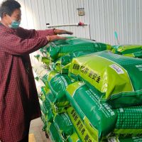 Quality Livestock Protein Feed Spray Dried Plasma Protein Blood Meal For Poultry for sale