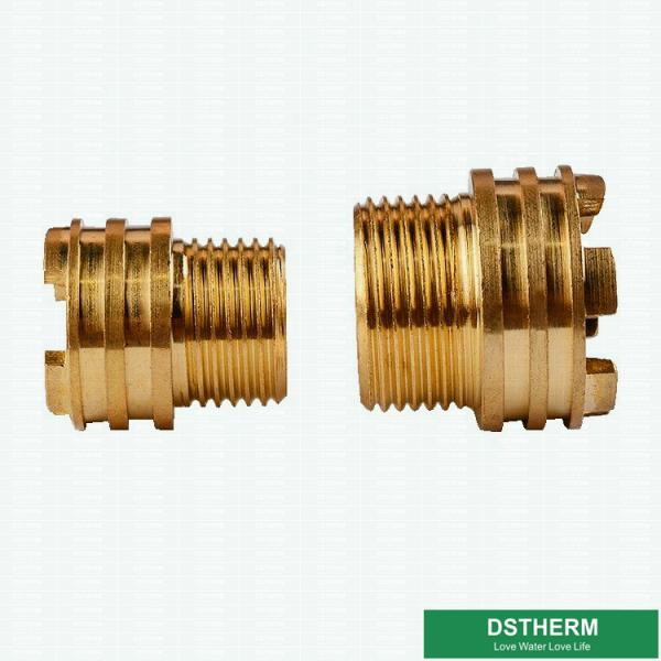 Quality Male Brass Inserts Customized Designs For Ppr Fittings for sale
