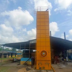 Quality 20 Tons Capacity Batch Type Wheat Dryer Machine Manufacturer From China for sale