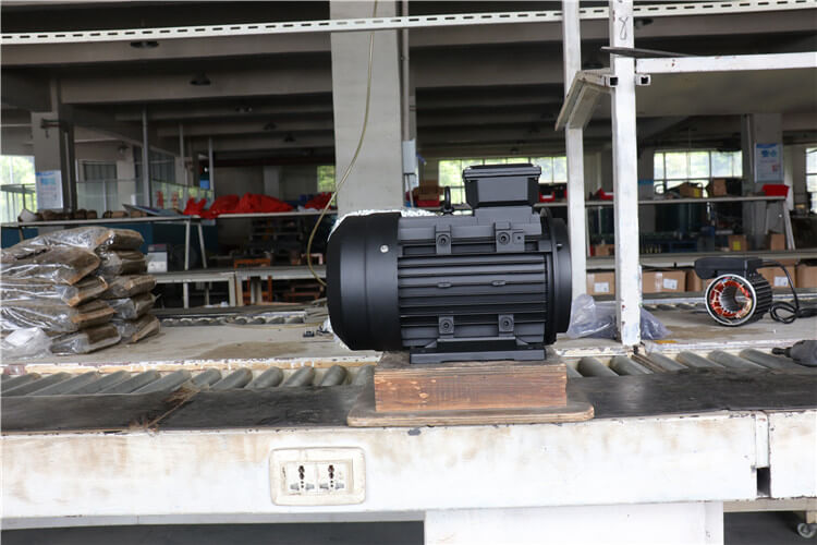 Hollow shaft motor