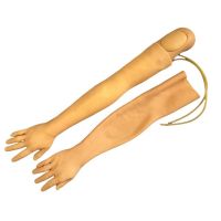 Quality Vivid Arm Model for IV Injection Training Multi-functional Clinical Nursing for sale