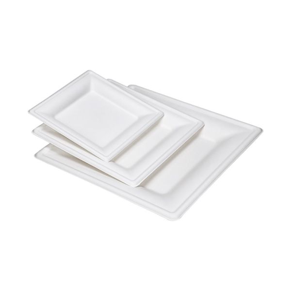 Quality 9in 10in Eco Friendly Compostable Sugarcane Paper Plates Dessert Square Cake for sale