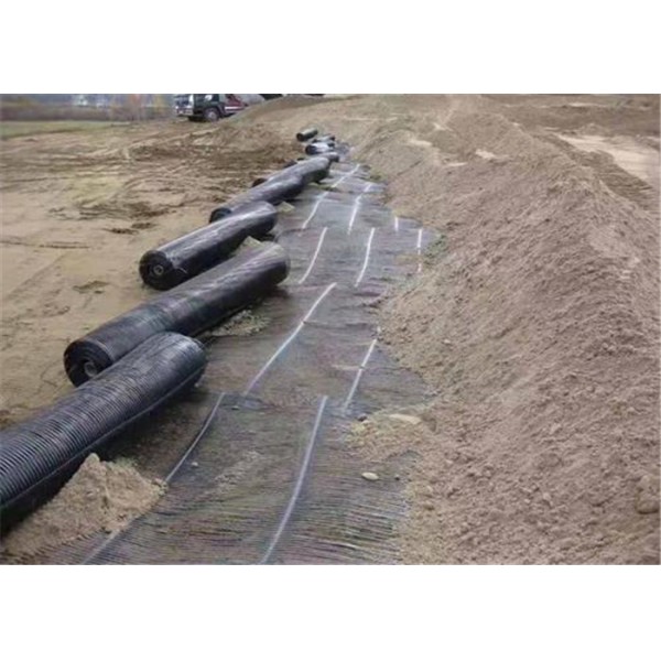 Quality PP Uniaxial Plastic Geogrid for sale