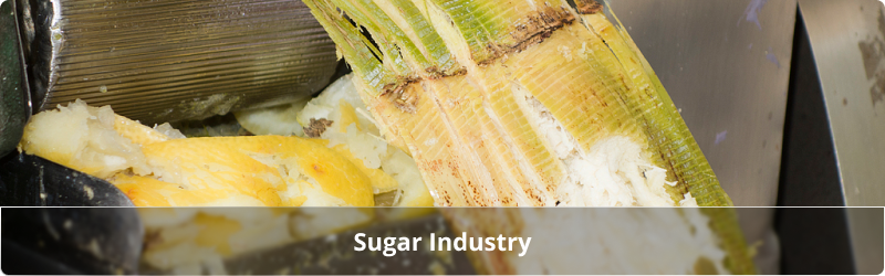 Sugar evaporation applications cane beet thin juice thick juice pan station