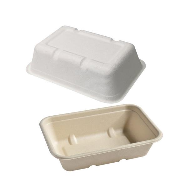 Quality Sugarcane Lunch Box Biodegradable Compostable Food Container for Estimated for sale