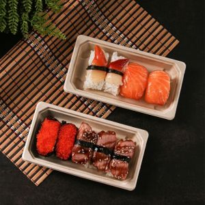 Quality Biodegradable Bagasse Tableware for sale