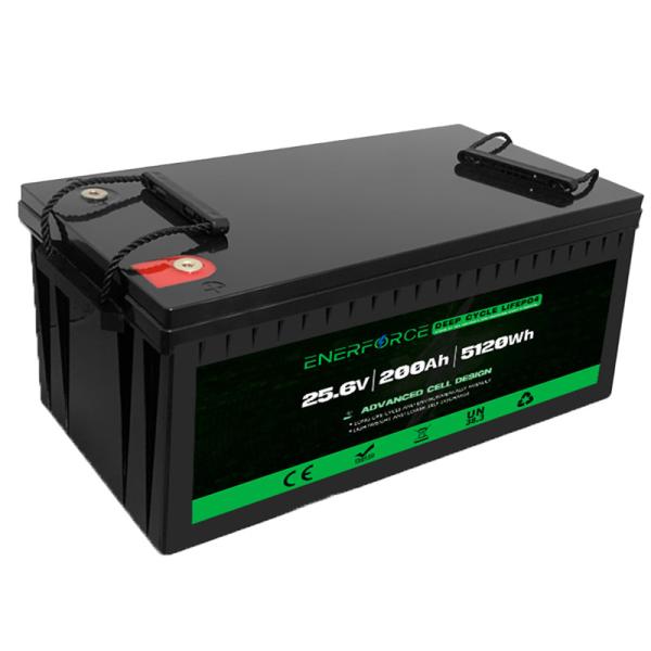 Quality Lifepo4 Golf Cart Battery Lithium Phosphate Battery 24V 200Ah for sale