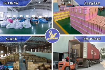 China Factory - Huizhou Licheng Inflatable Toys Product Co., Ltd.