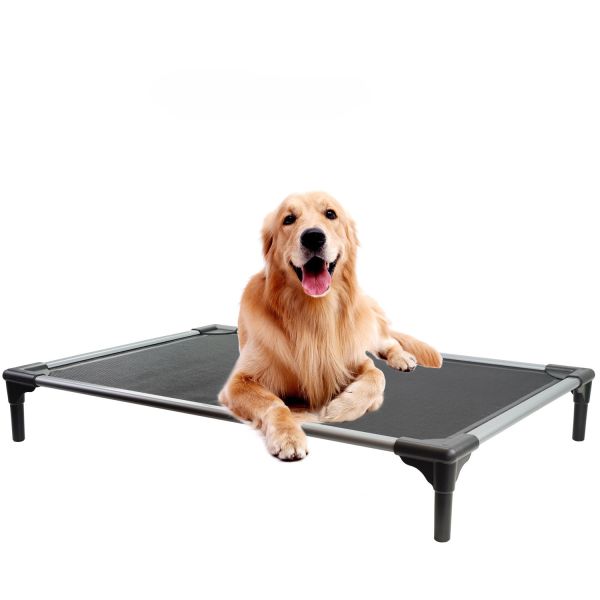 Quality 100cm Steel Framed Elevated Dog Bed 16cm Outdoor Cooling for sale