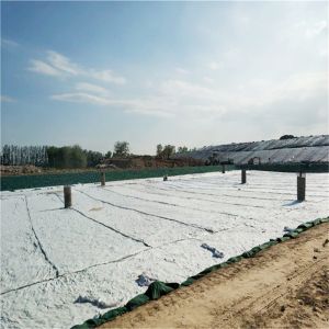 Quality PP/ PET Geotextile 100g/sqm-800g/sqm Short Fiber Non-Woven Geotextile for for sale